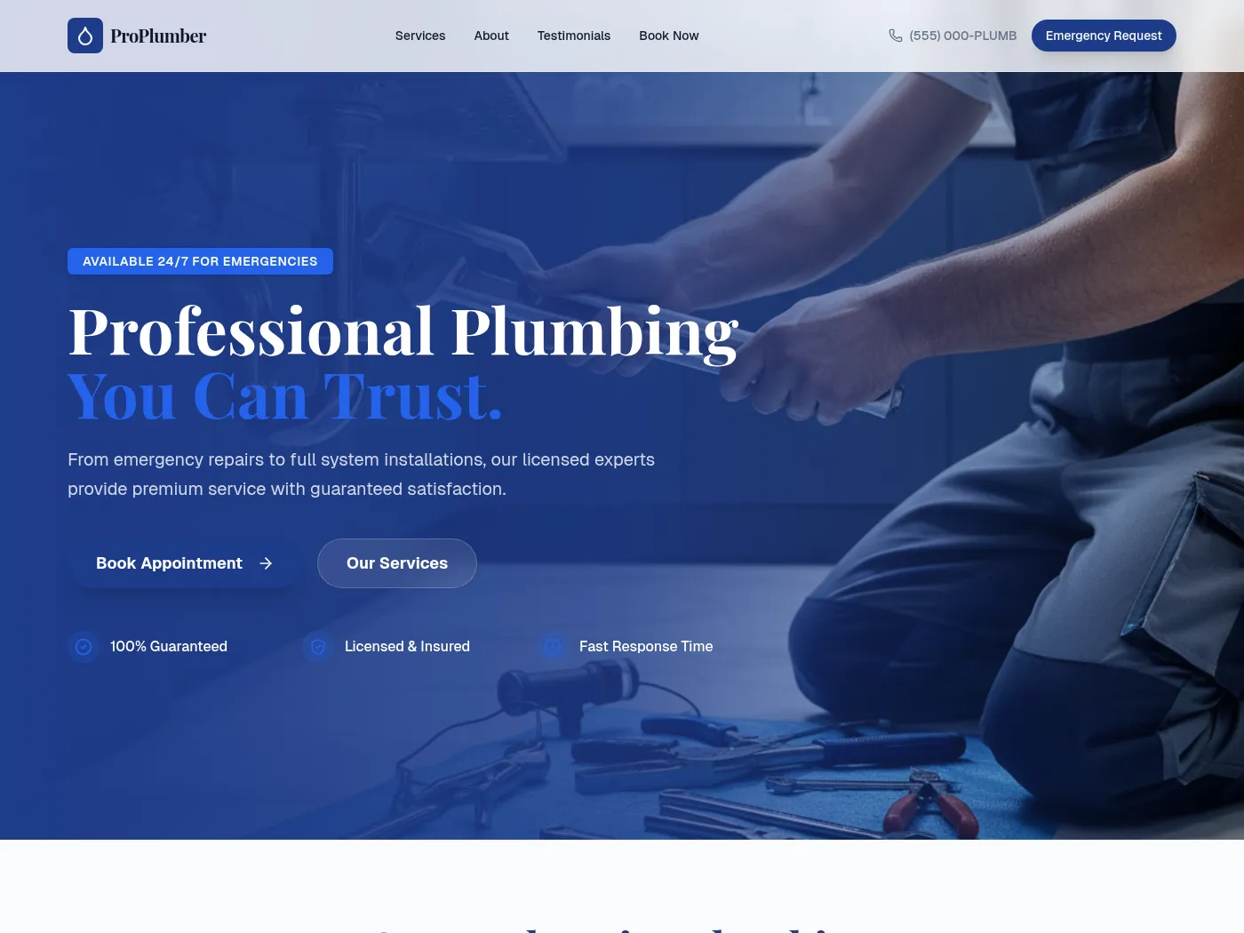 Pro Plumber Website