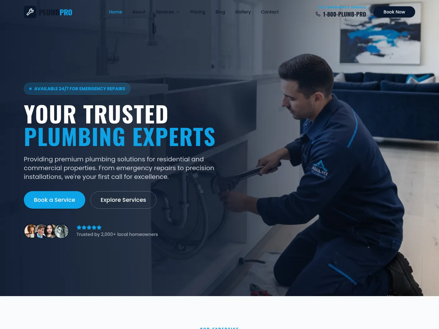 PlumbPro Web Presence