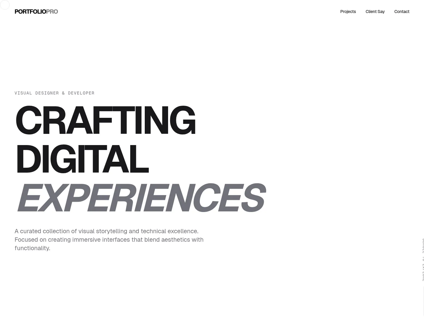 Portfolio Showcase Pro