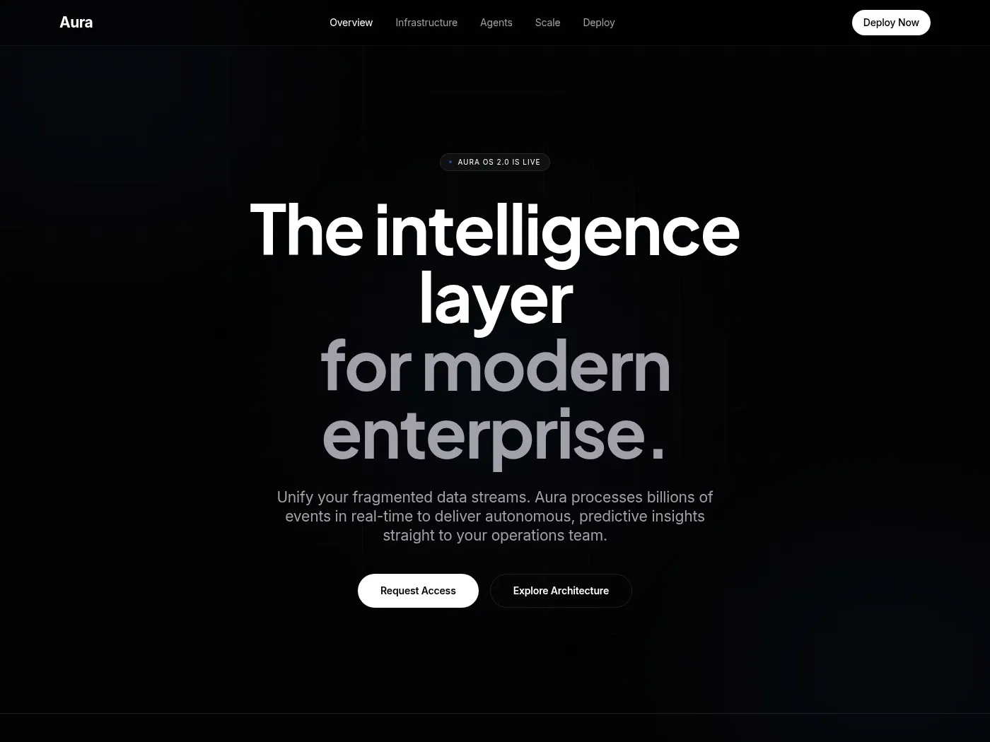 Portfolio Project Showcase