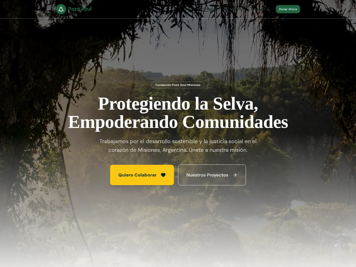 Pozo Azul Foundation Site