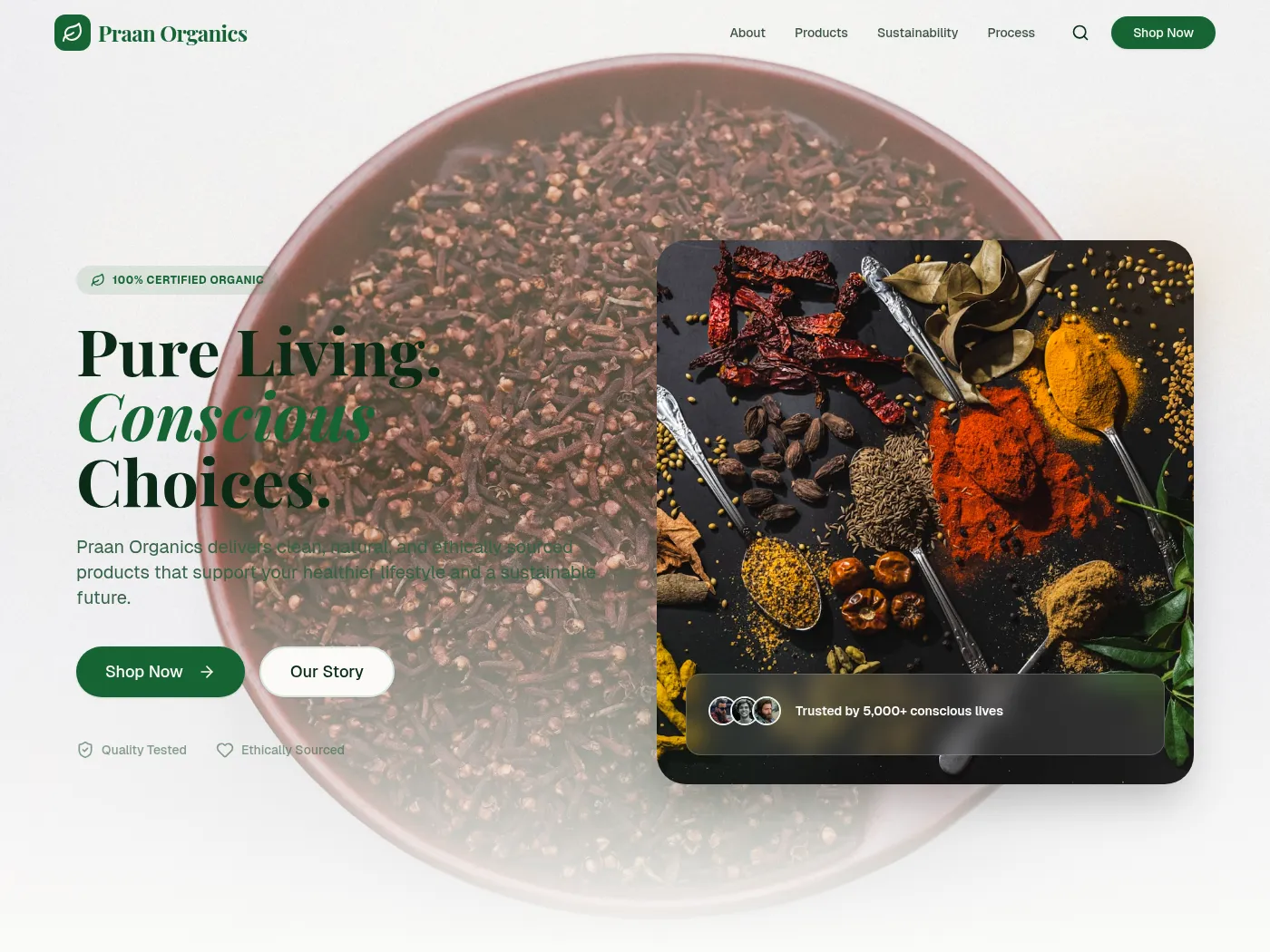 Praan Organics Website