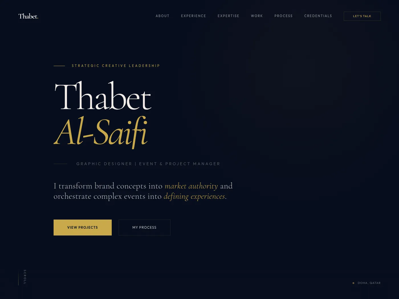 Thabet Portfolio Experience