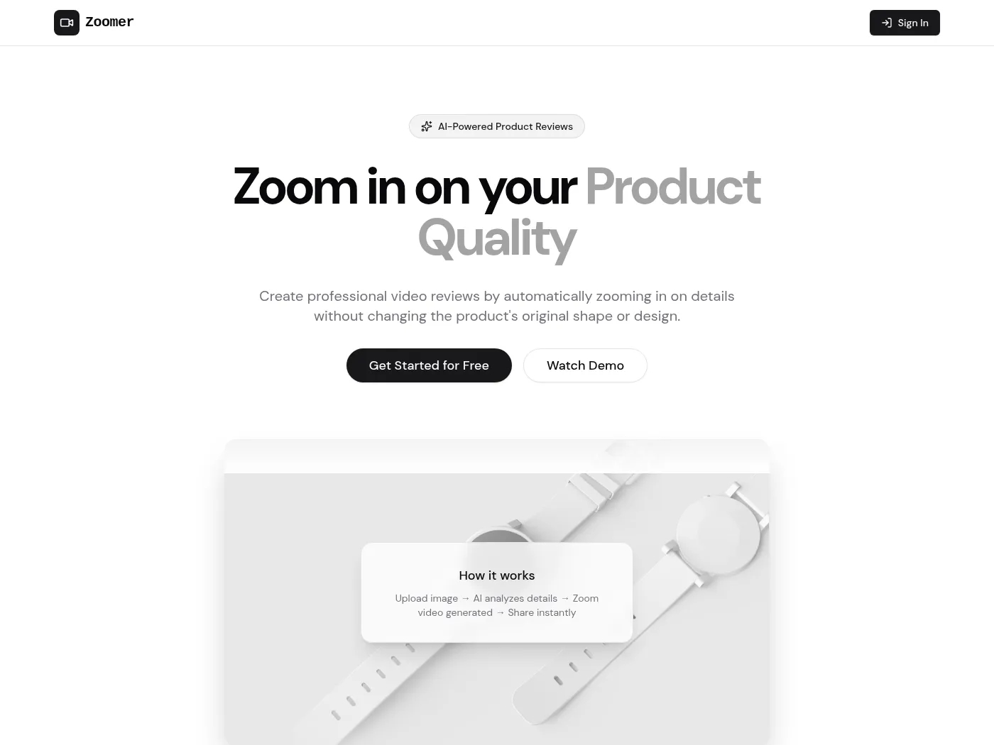 Product Review Zoomer