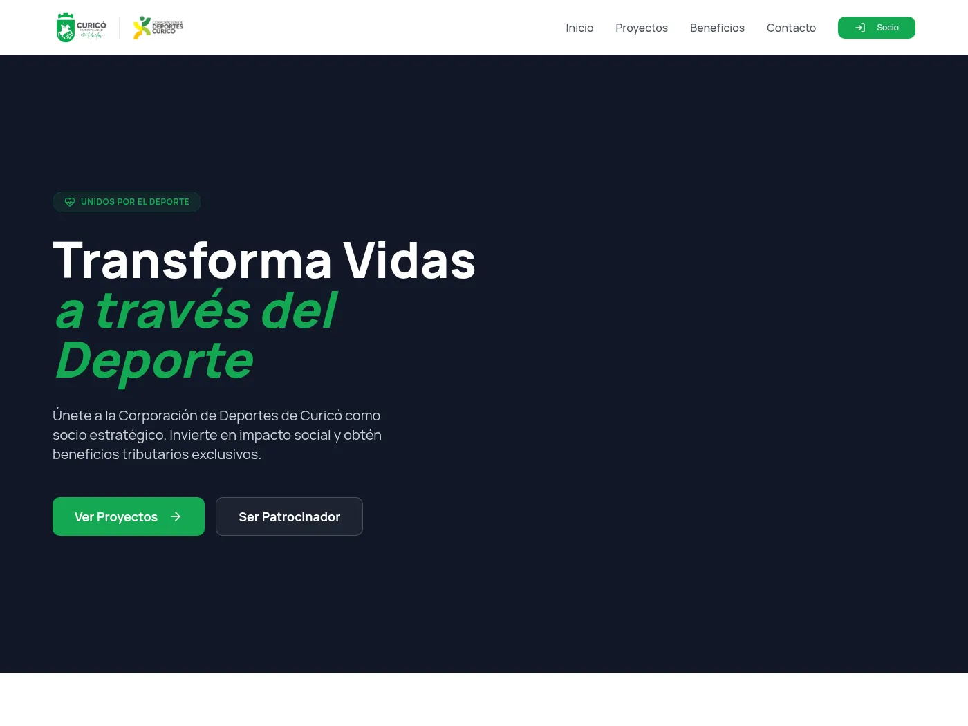 Project Portfolio Web