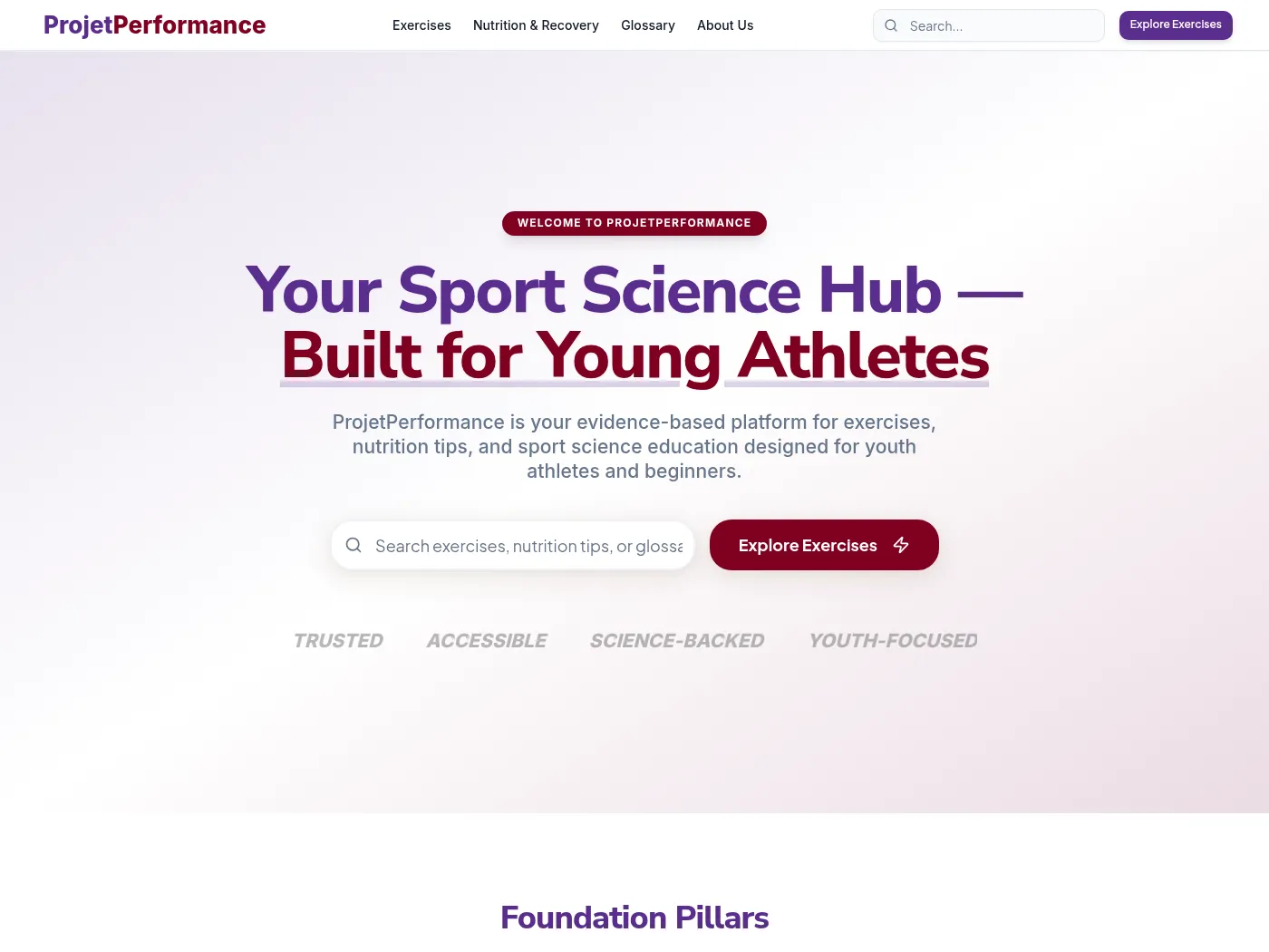 ProjetPerformance Website