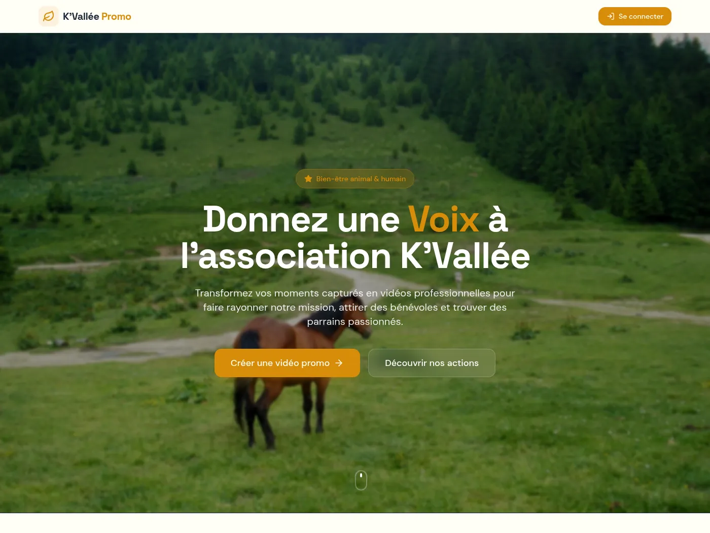 Promo Video Creator