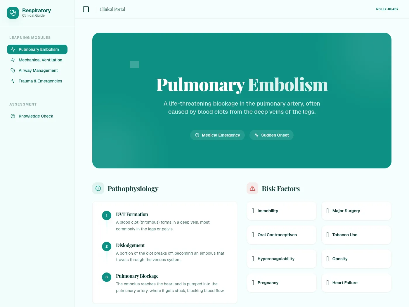 Pulmonary Embolism Explainer