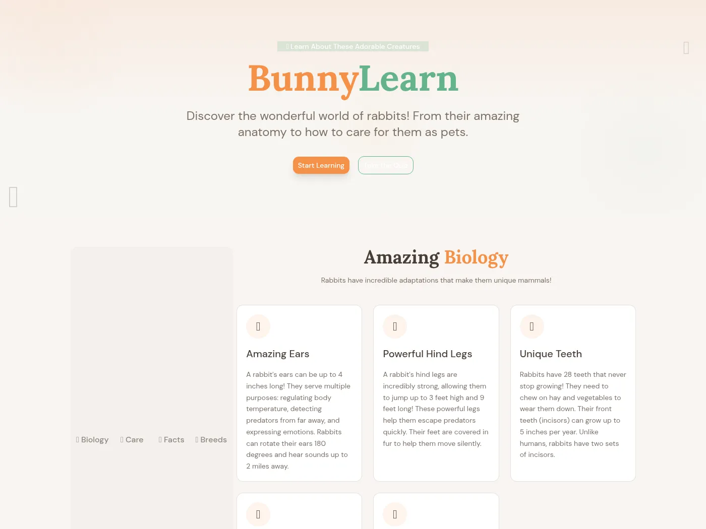 BunnyLearn