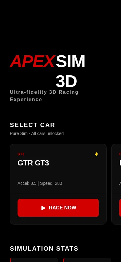 Racing Sim Experience