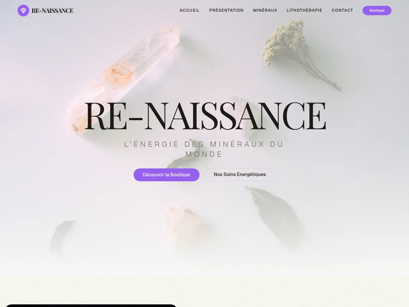 Re-NaisSance Shop Showcase