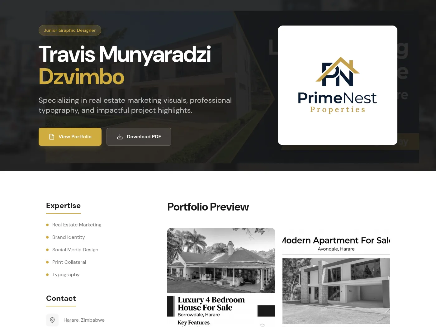 Travis Dzvimbo Portfolio