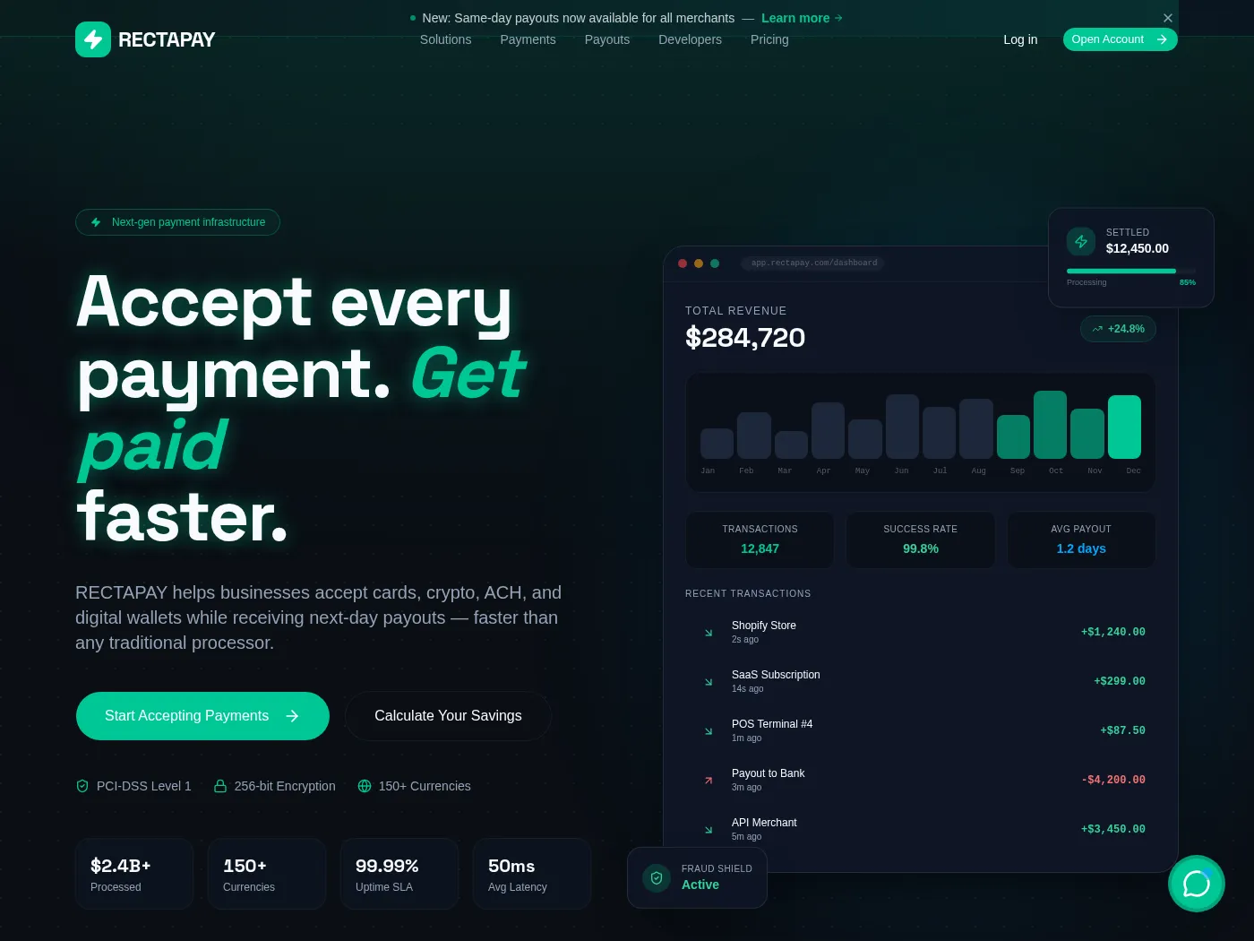 RECTAPAY Fintech Website