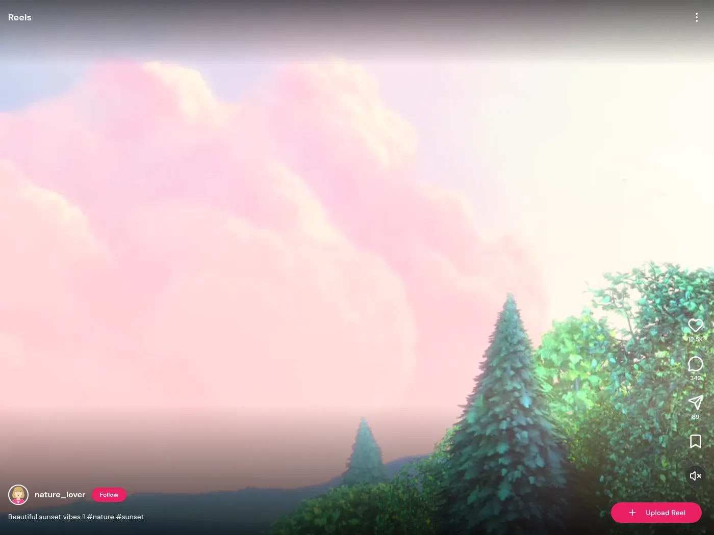 Reels Video Feed Experience