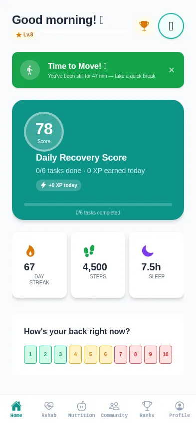 RehabBuddy Gamified Recovery