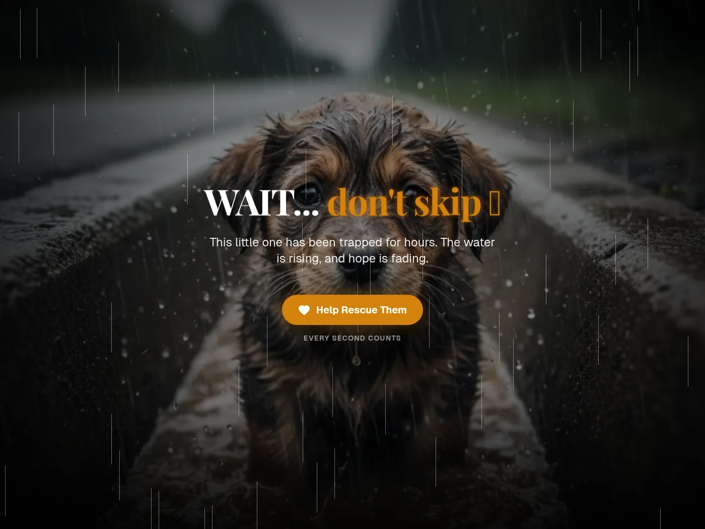 Rescue Pup Appeal