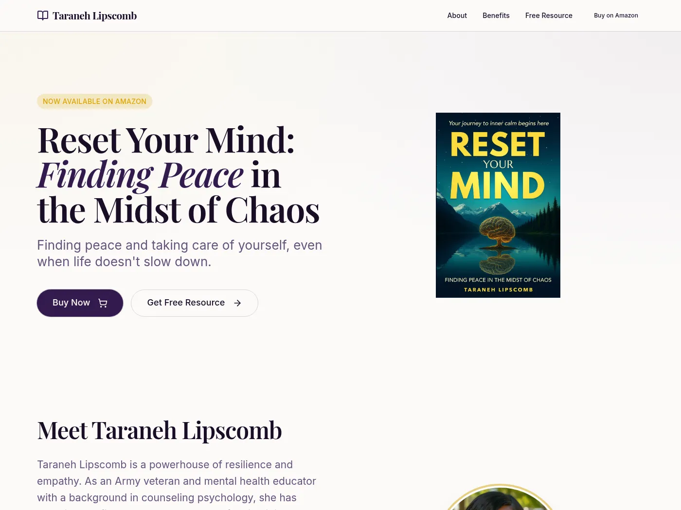 Reset Your Mind Landing