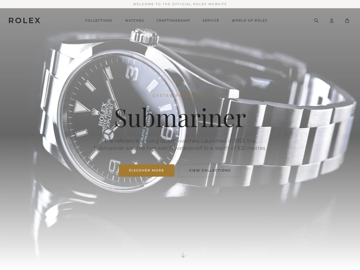 Rolex Store Clone
