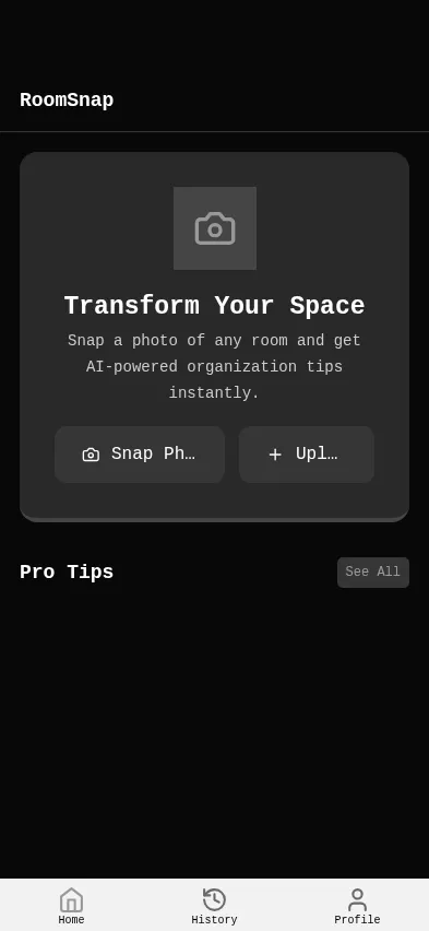 RoomSnap Organizer