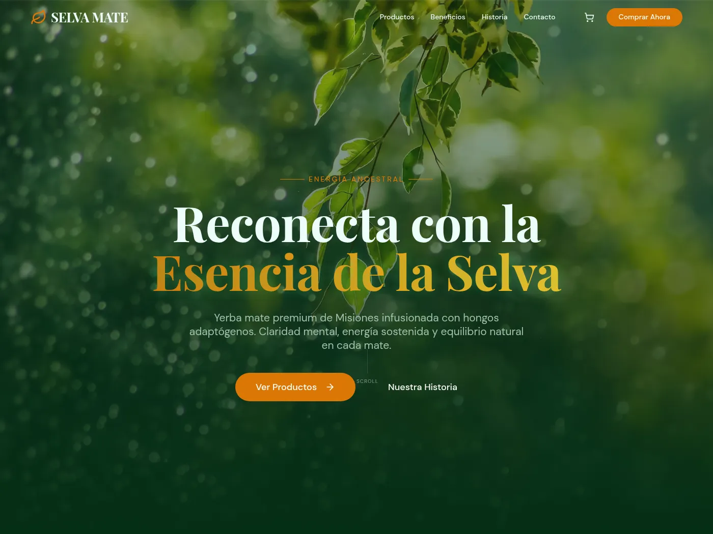 Selva Mate Showcase