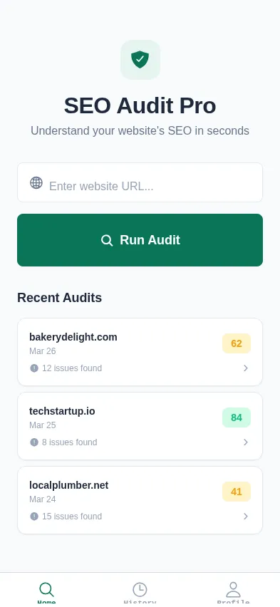 SEO Audit Pro