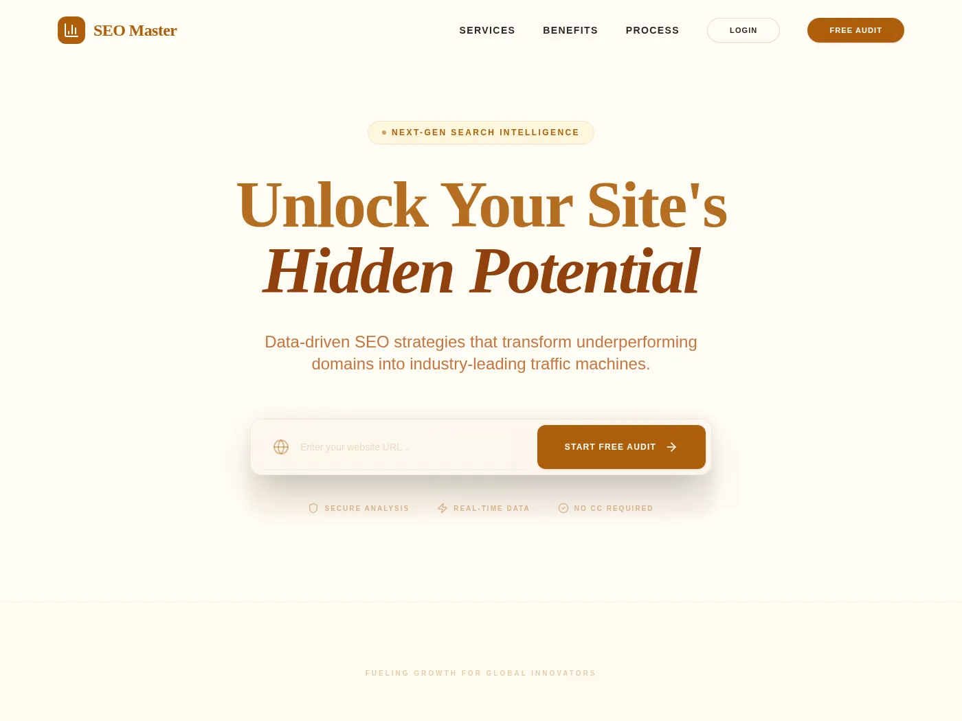 SEO Audit Landing