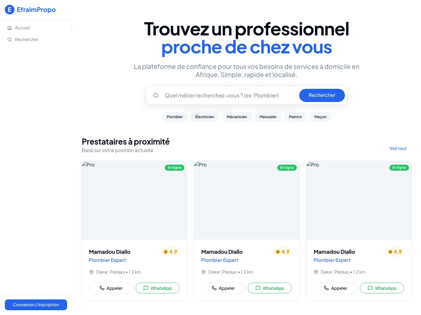EfraimPropo Service Platform