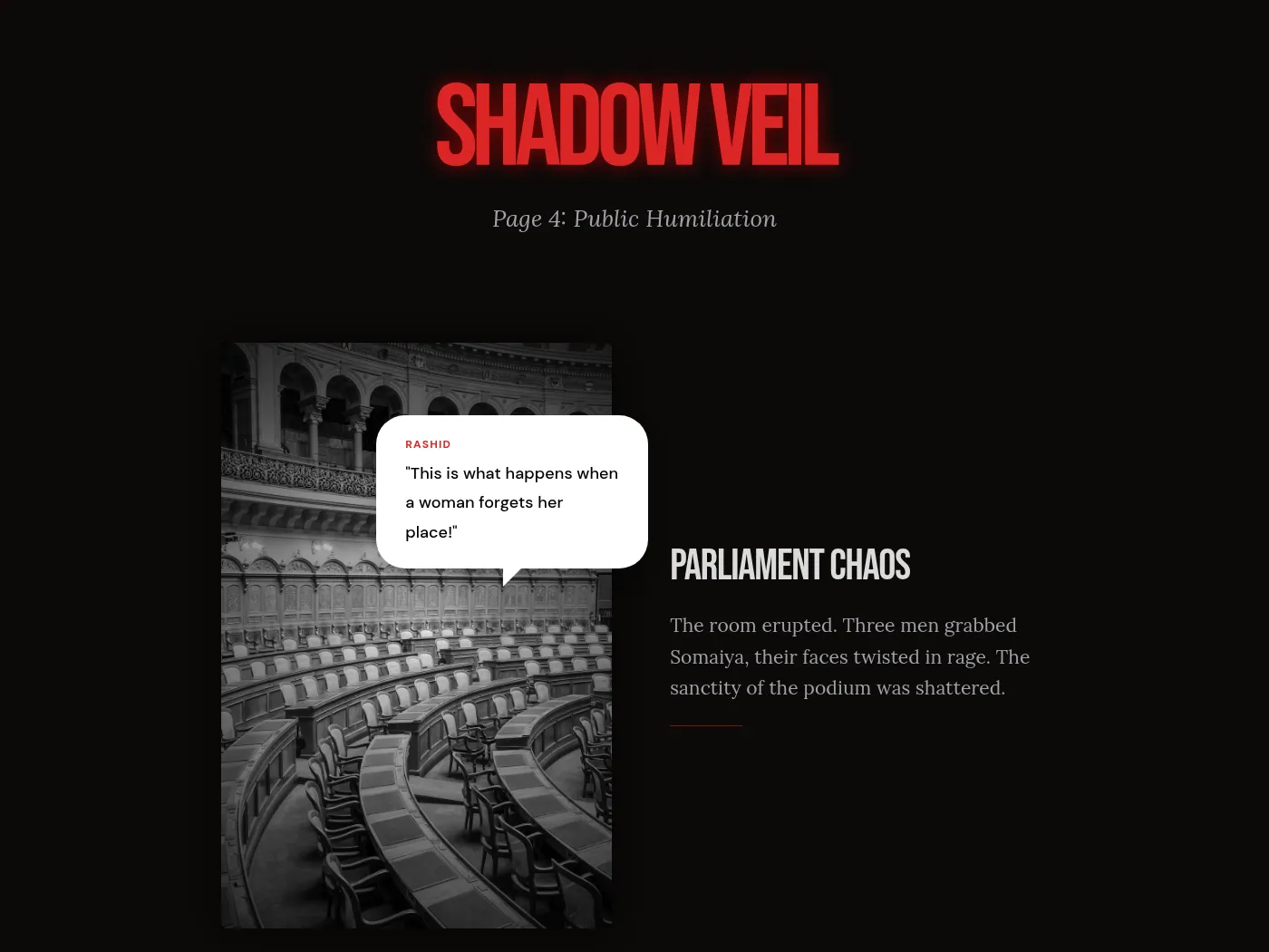 Shadow Veil: Page 4