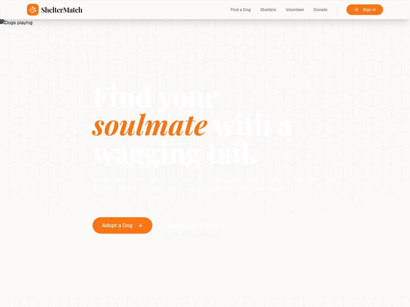ShelterMatch Platform