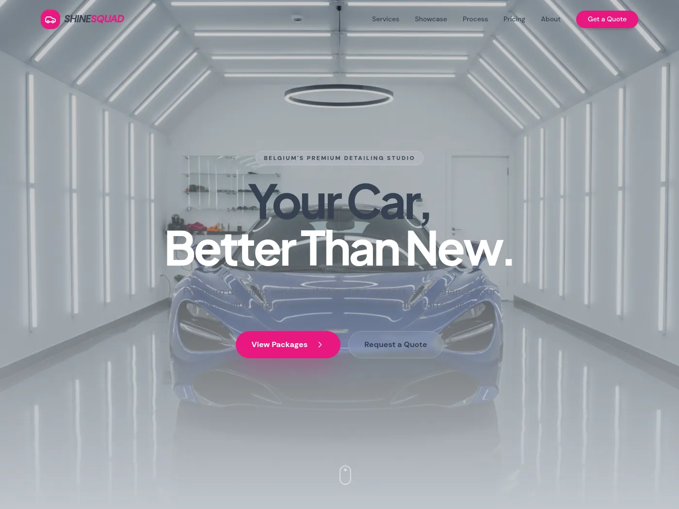 Shine Squad Detailing Web