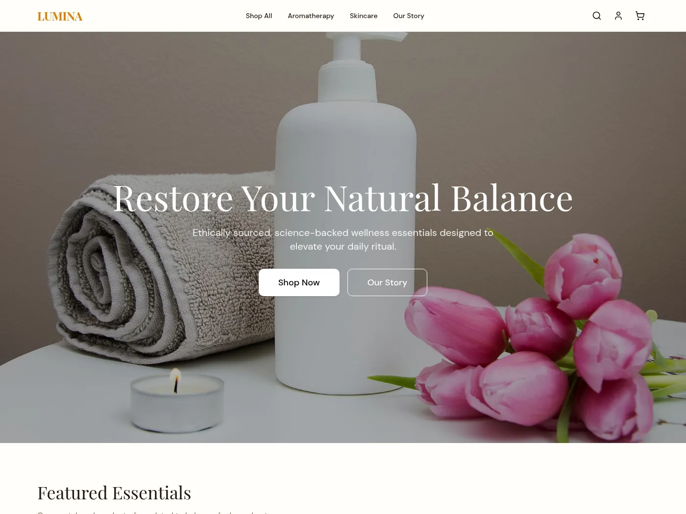 Shopify Store Clone