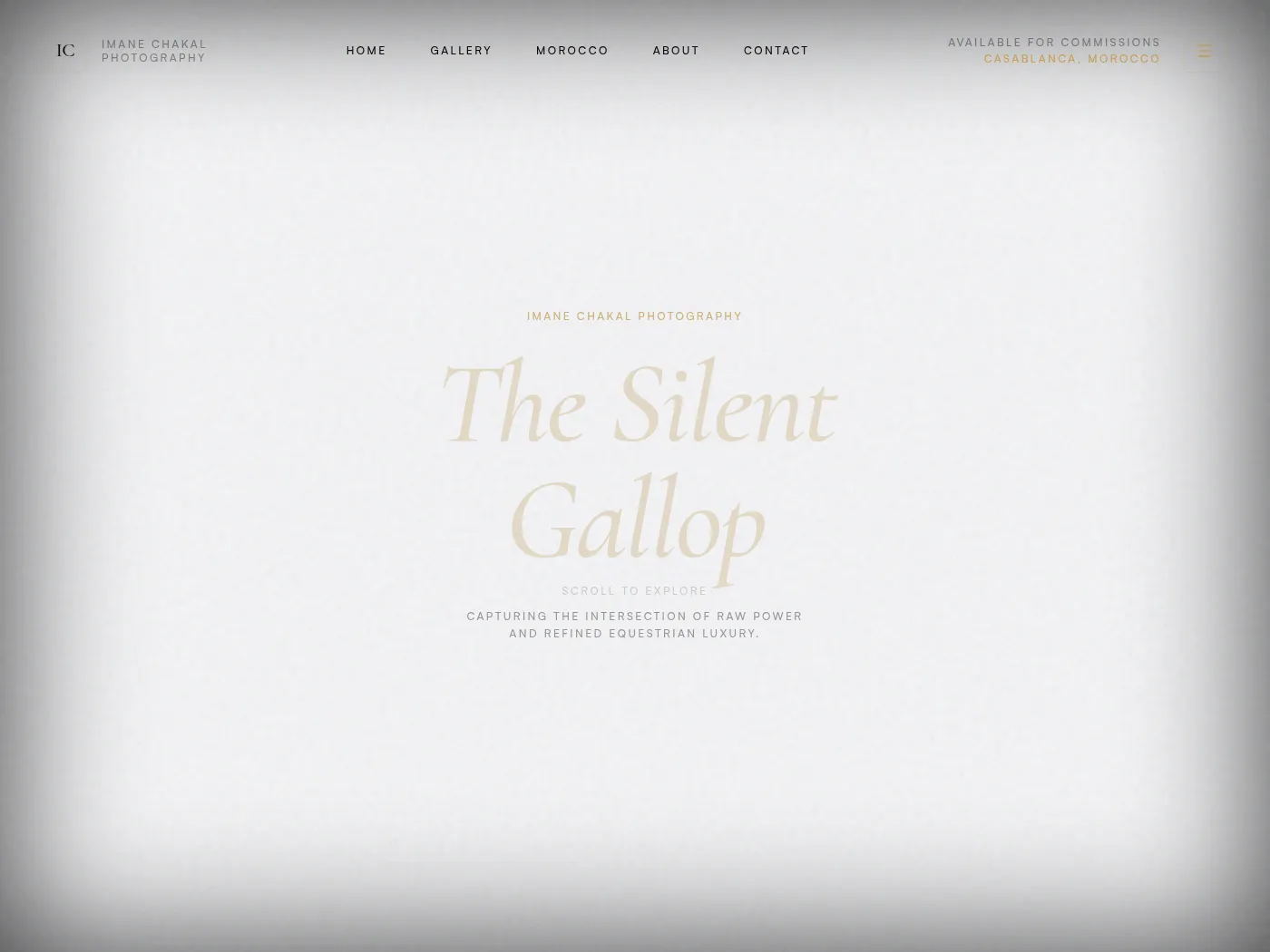 Silent Gallop Gallery