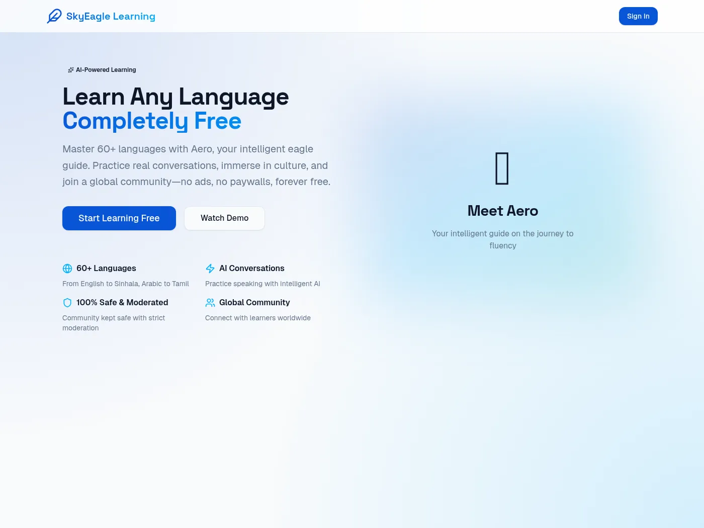 SkyEagle Learning Hub