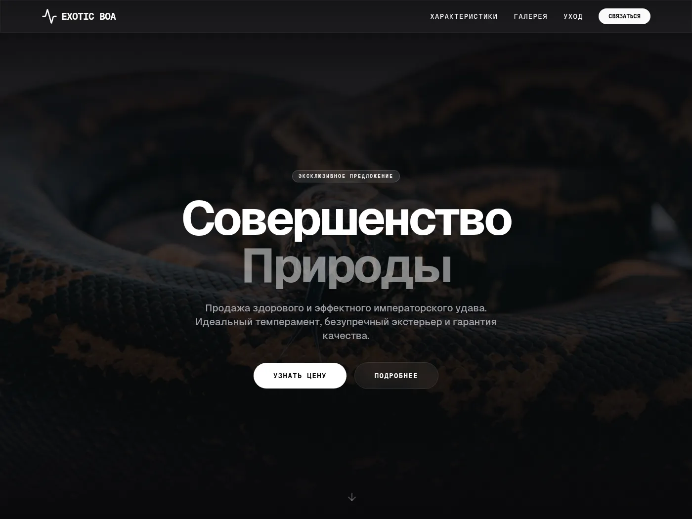 Snake Sale Landing