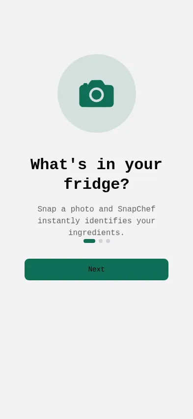 SnapChef
