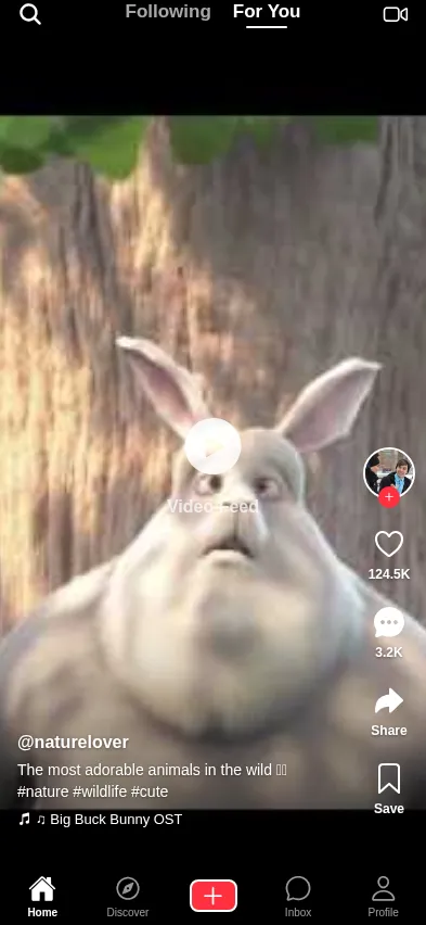 SnapFeed Video App