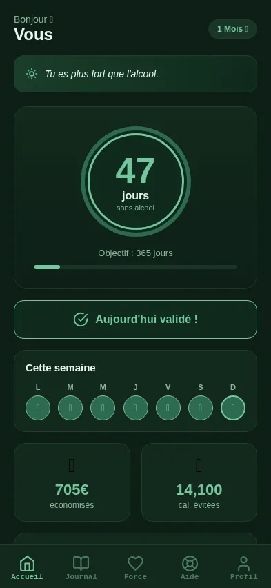Sobriety Support App