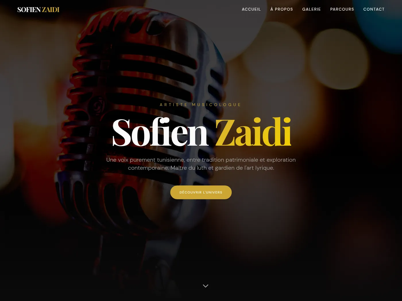Sofien Zaidi Artist Portfolio