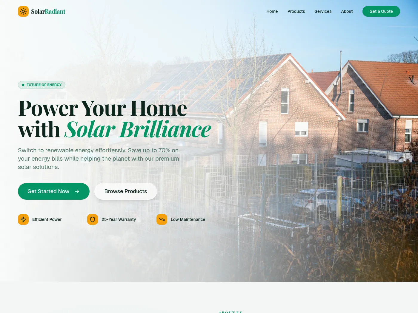Solar Panel Shop Web