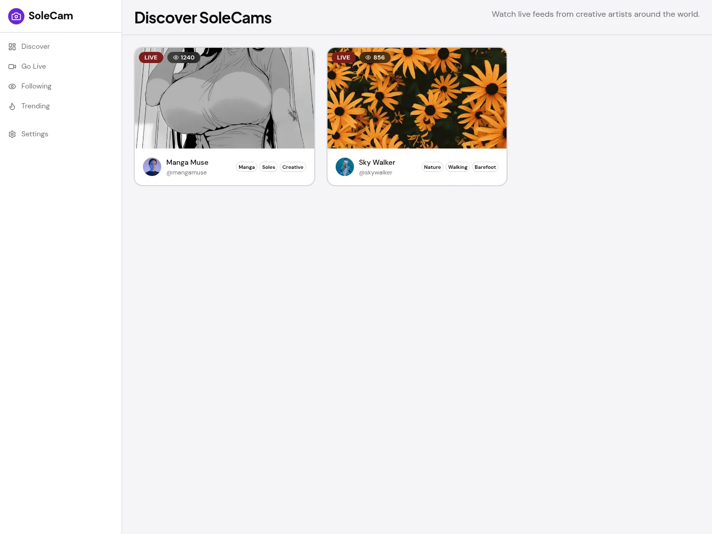 SoleCam Viewer