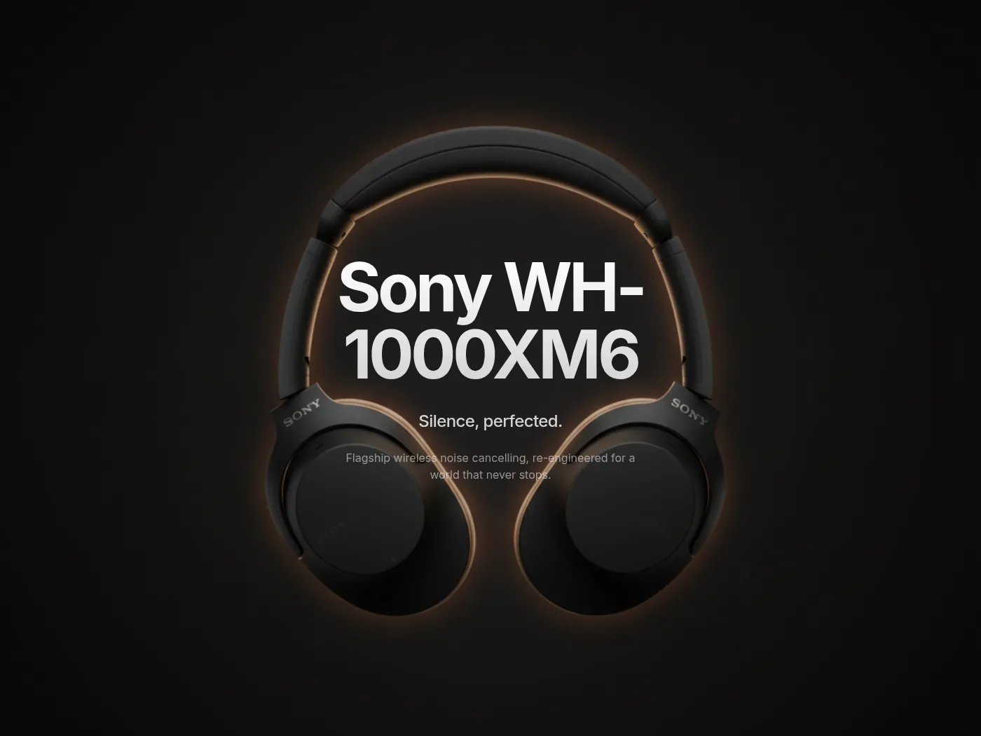 Cinematic Sony Landing