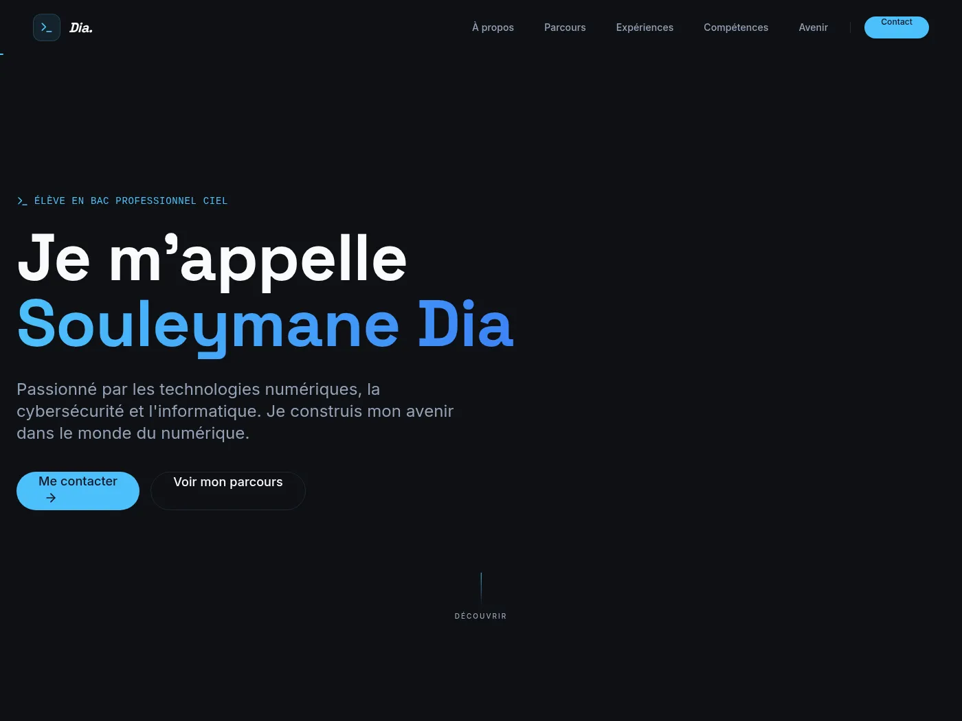 Souleymane Dia Portfolio
