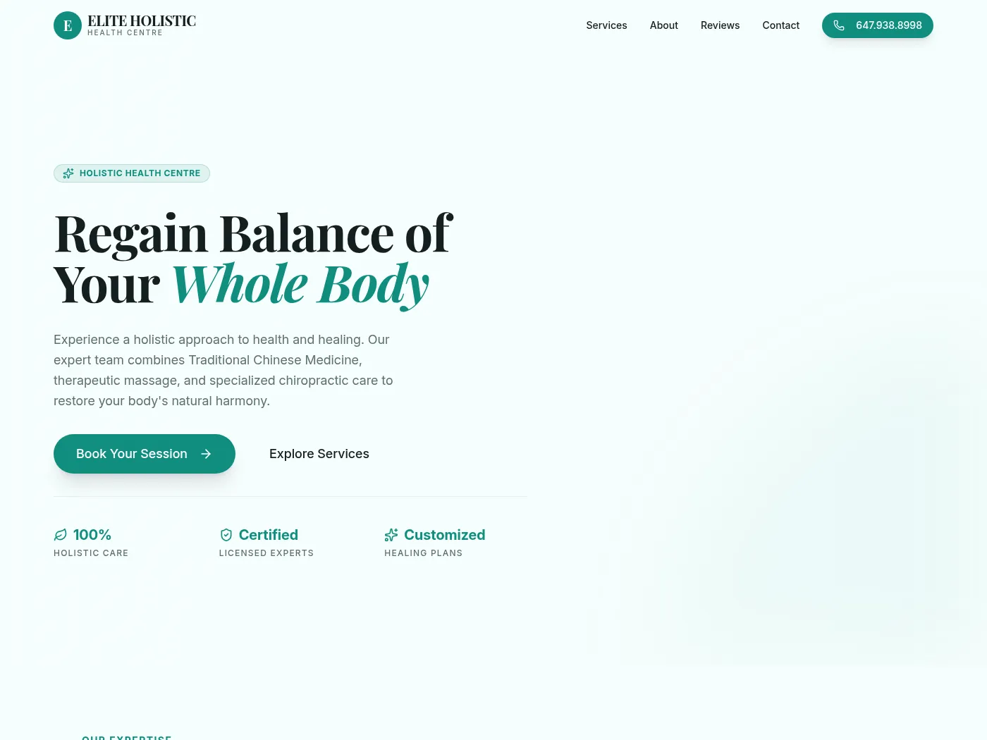 Elite Holistic Spa Web