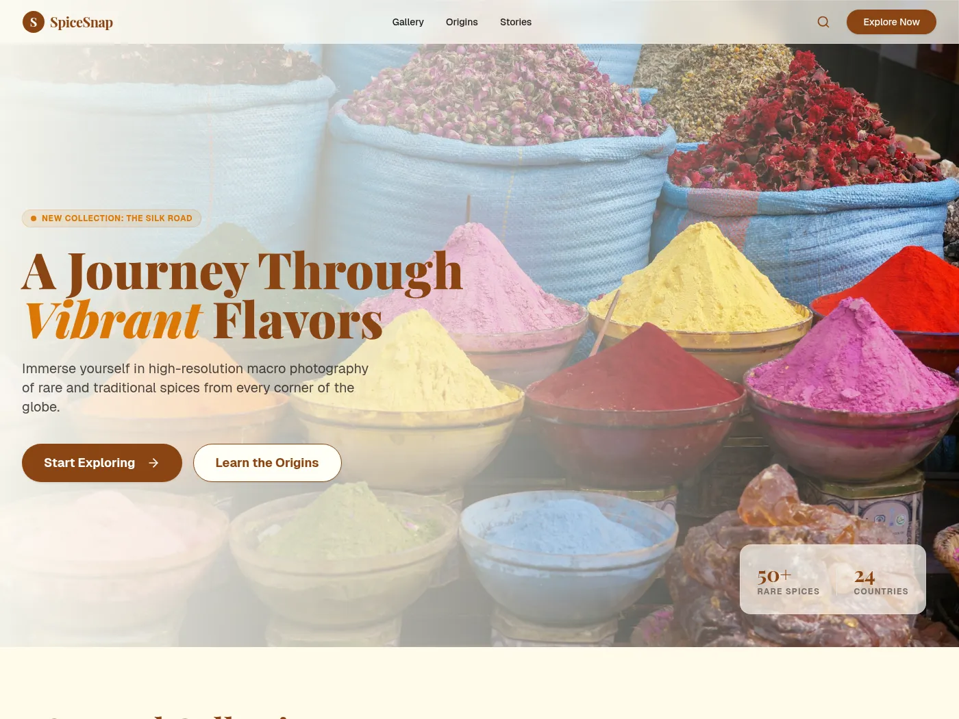SpiceSnap Gallery