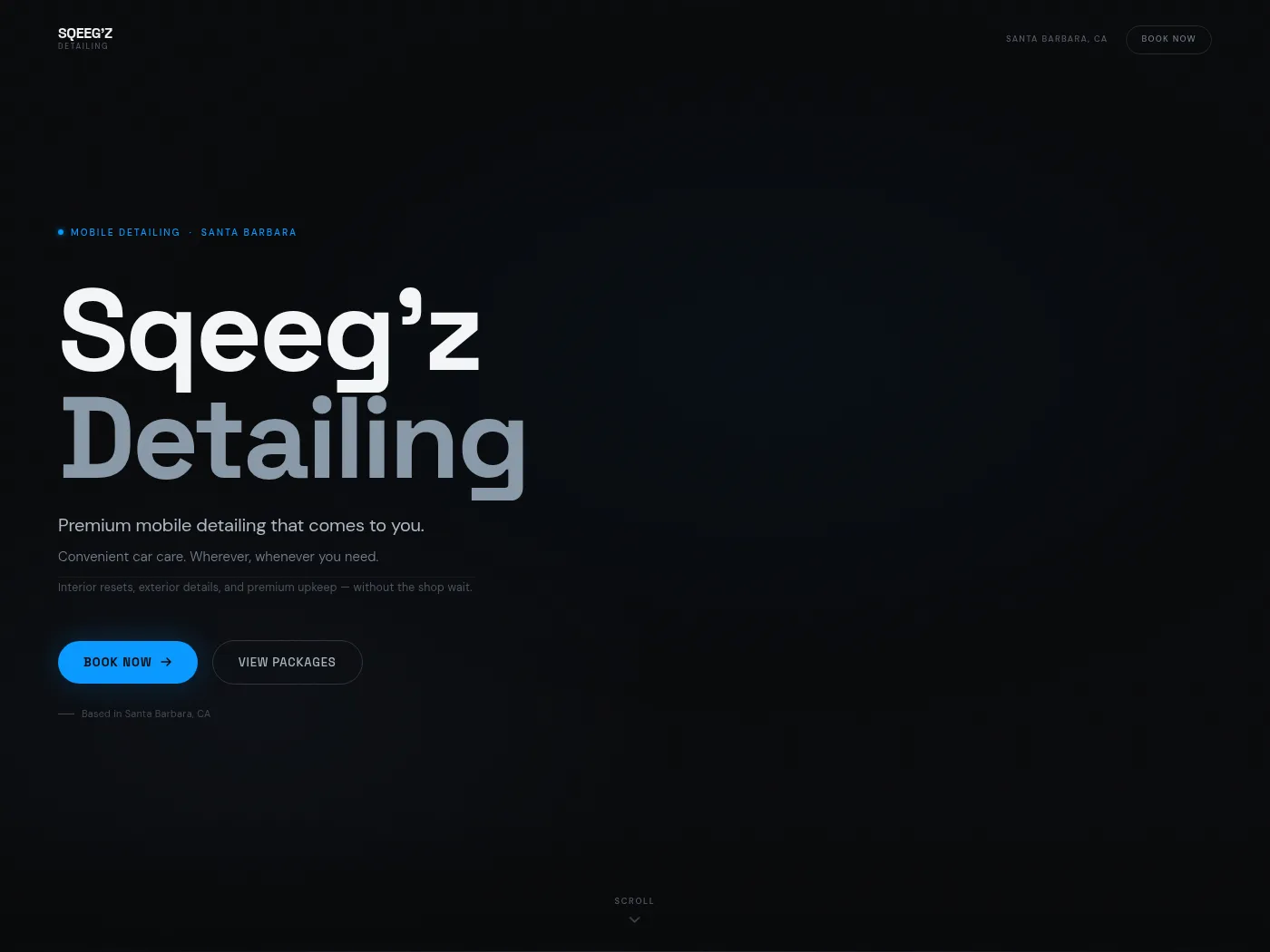 Sqeeg’z Premium Detailing