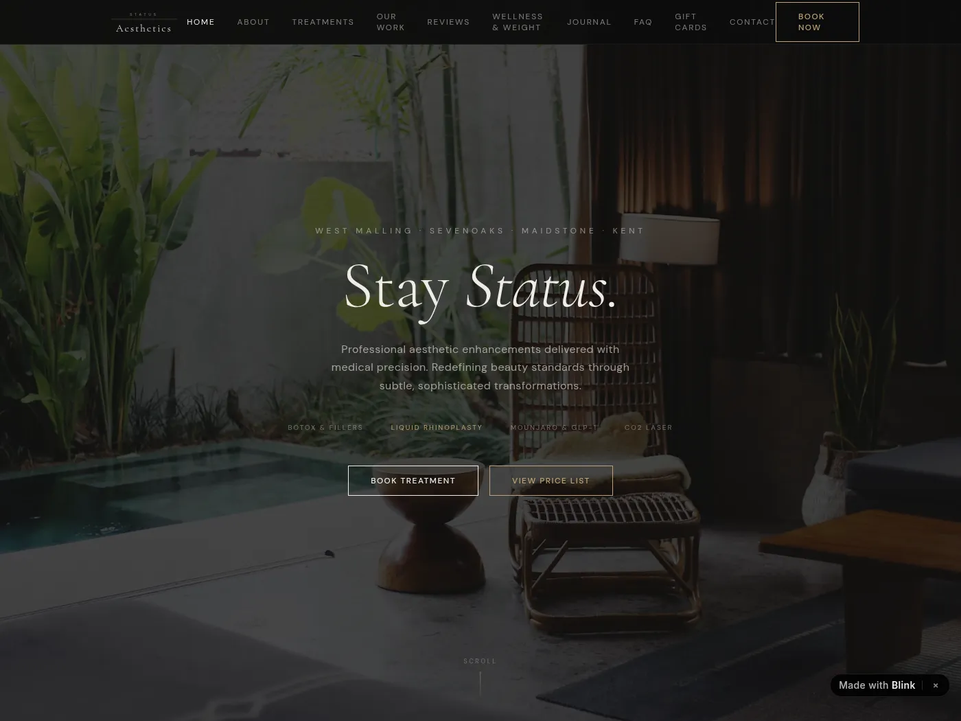 Status Aesthetics Website