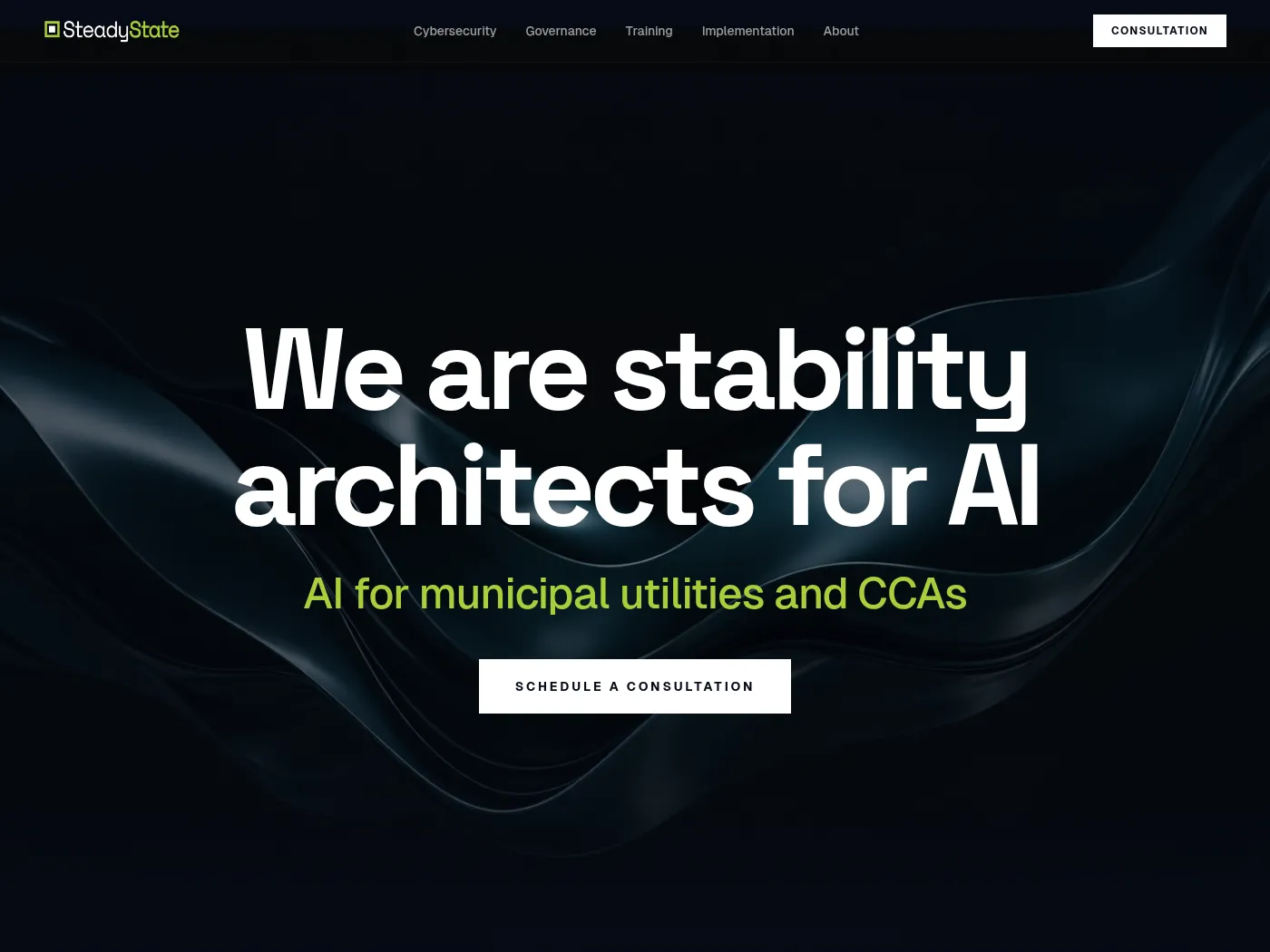 SteadyState AI Consulting