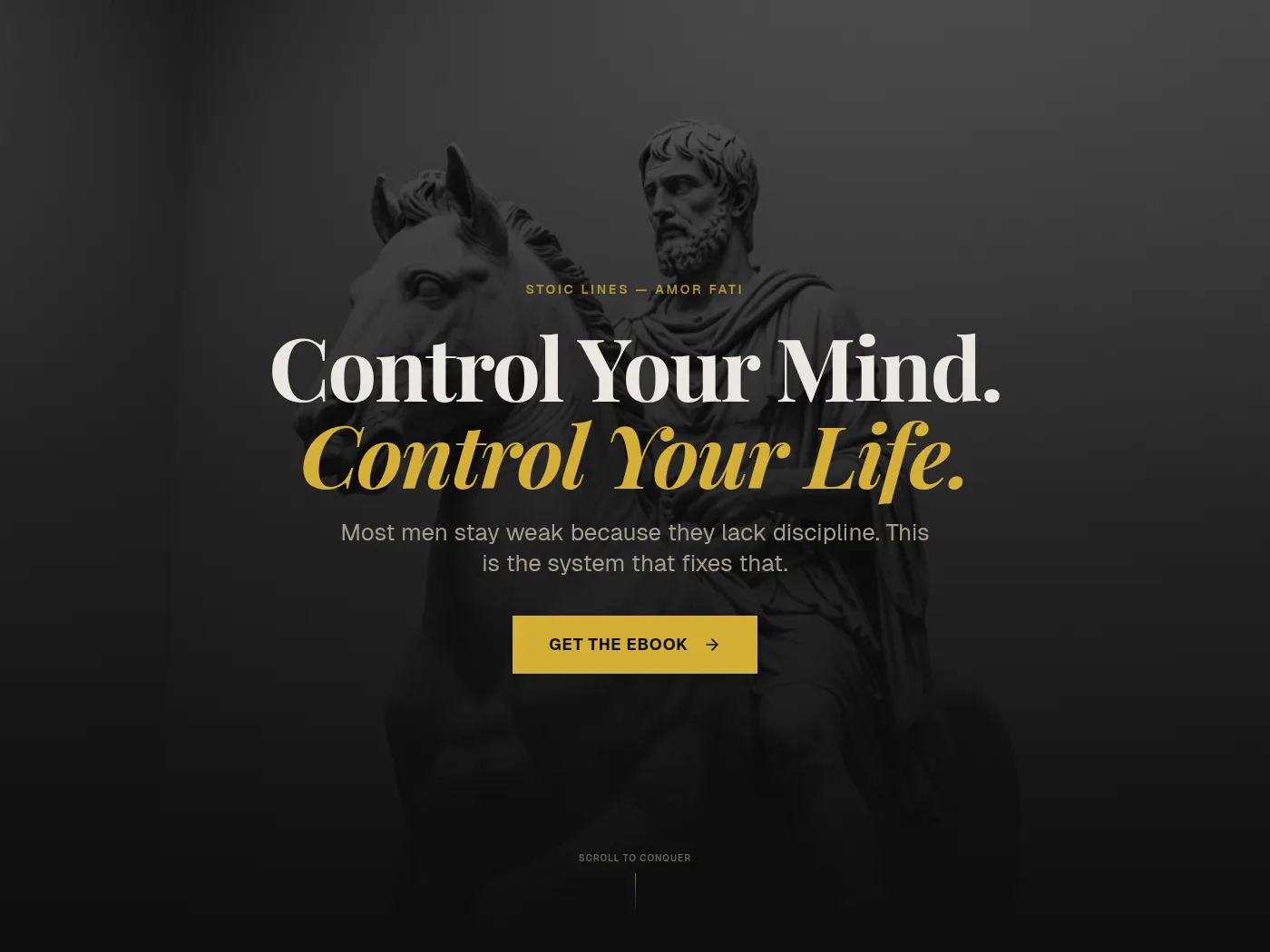 Stoic Lines Landing Page