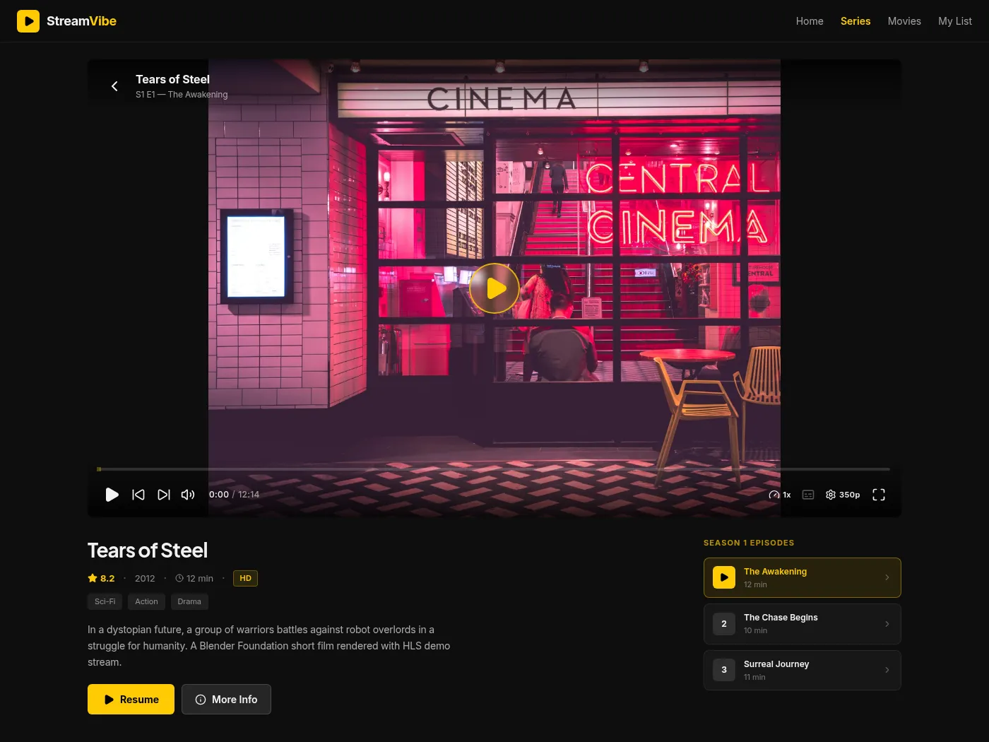 StreamVibe Custom Player