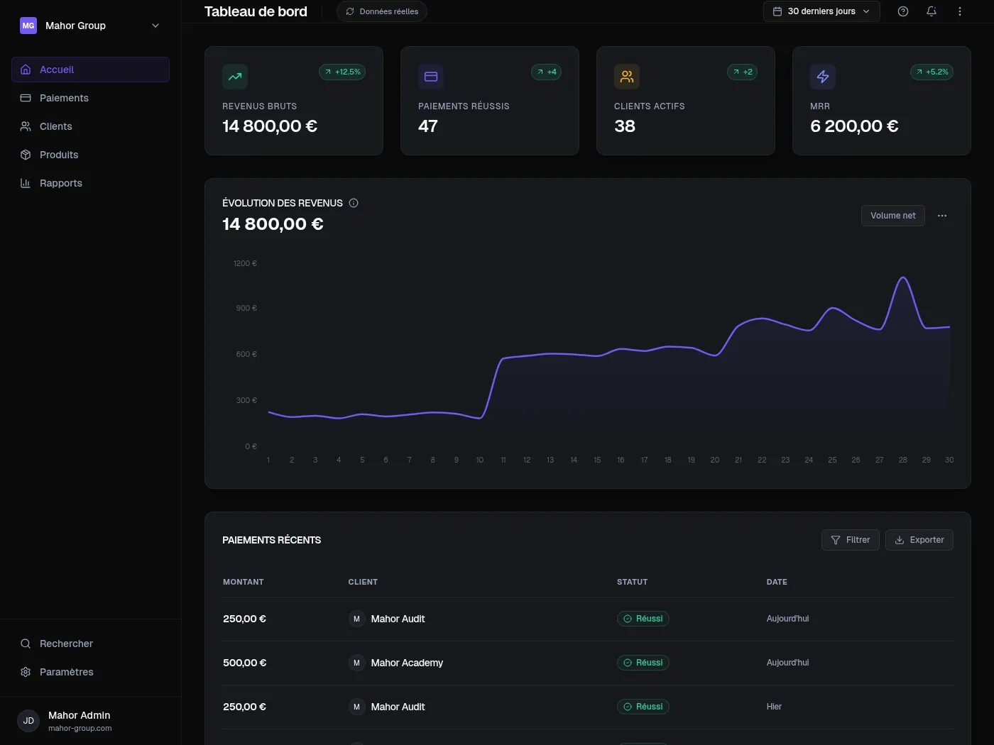 Stripe Dashboard Clone